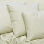 Down - Feather Pillow Forms - Royal Pillow